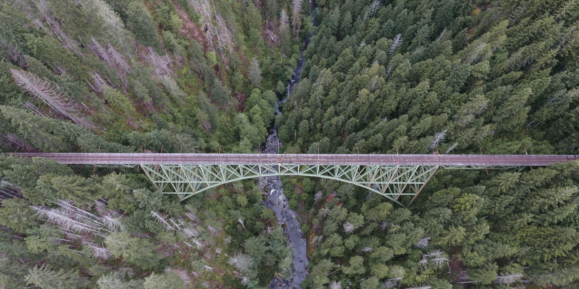 How Microsoft is helping to grow a startup planting forests – Microsoft ...